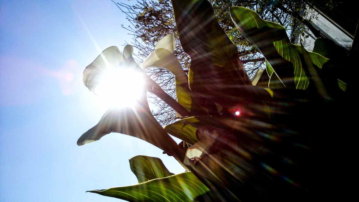 5 Natural Light Tips for Beginner Photographers - HubPages