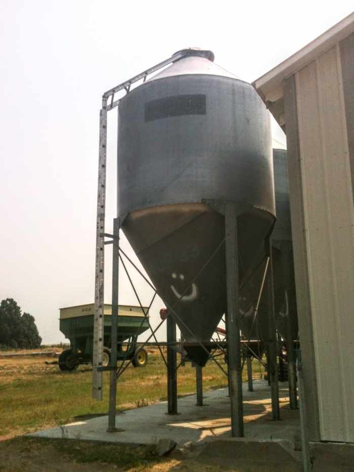 How to Build a Grain Bin Ladder Safety Cage (Includes Safety Concerns ...