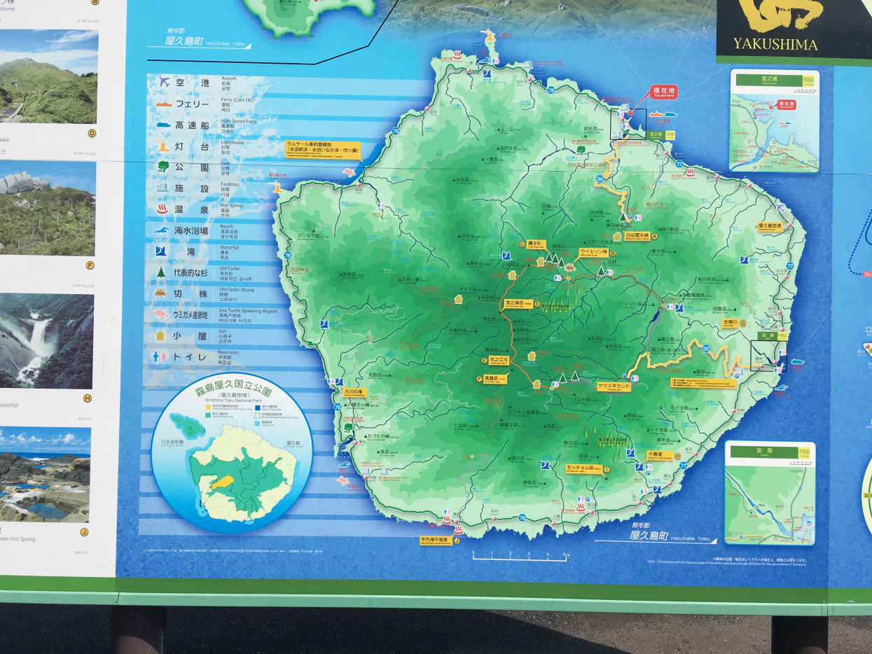 How To Travel Yakushima With No Car - HubPages