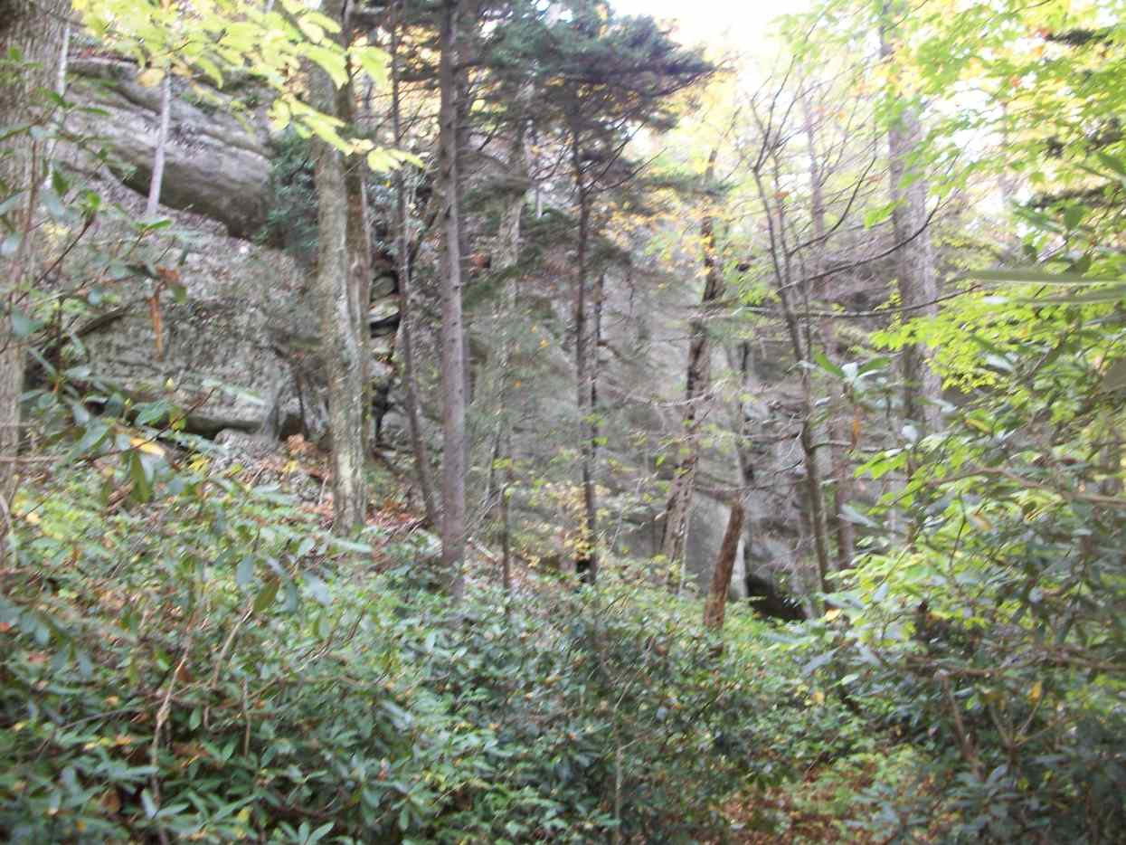 Hiking the Tanawha Trail - Blue Ridge Parkway, NC - HubPages