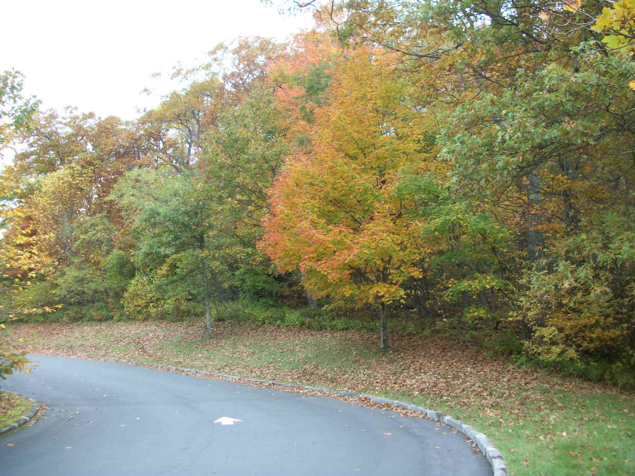 Hiking the Tanawha Trail - Blue Ridge Parkway, NC - HubPages