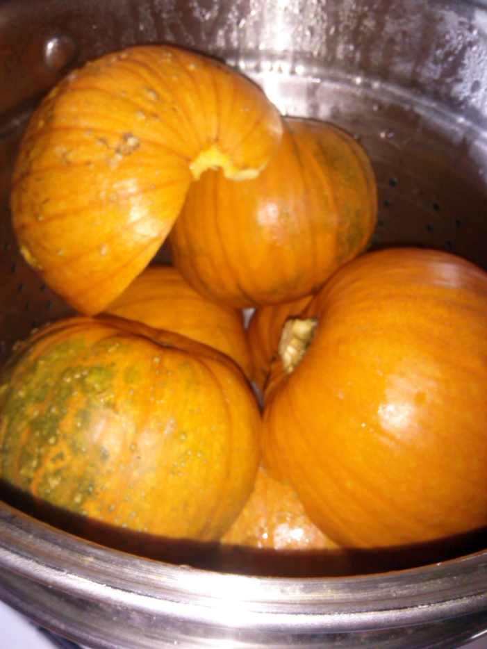 Processing and Cooking Fresh Pumpkin for Pumpkin Pie or Soup Recipes ...
