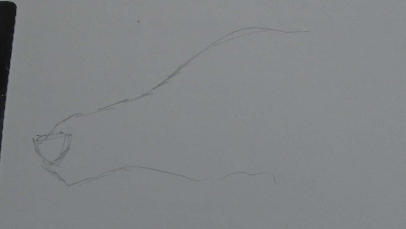 How to Draw a Demon Dog - HubPages