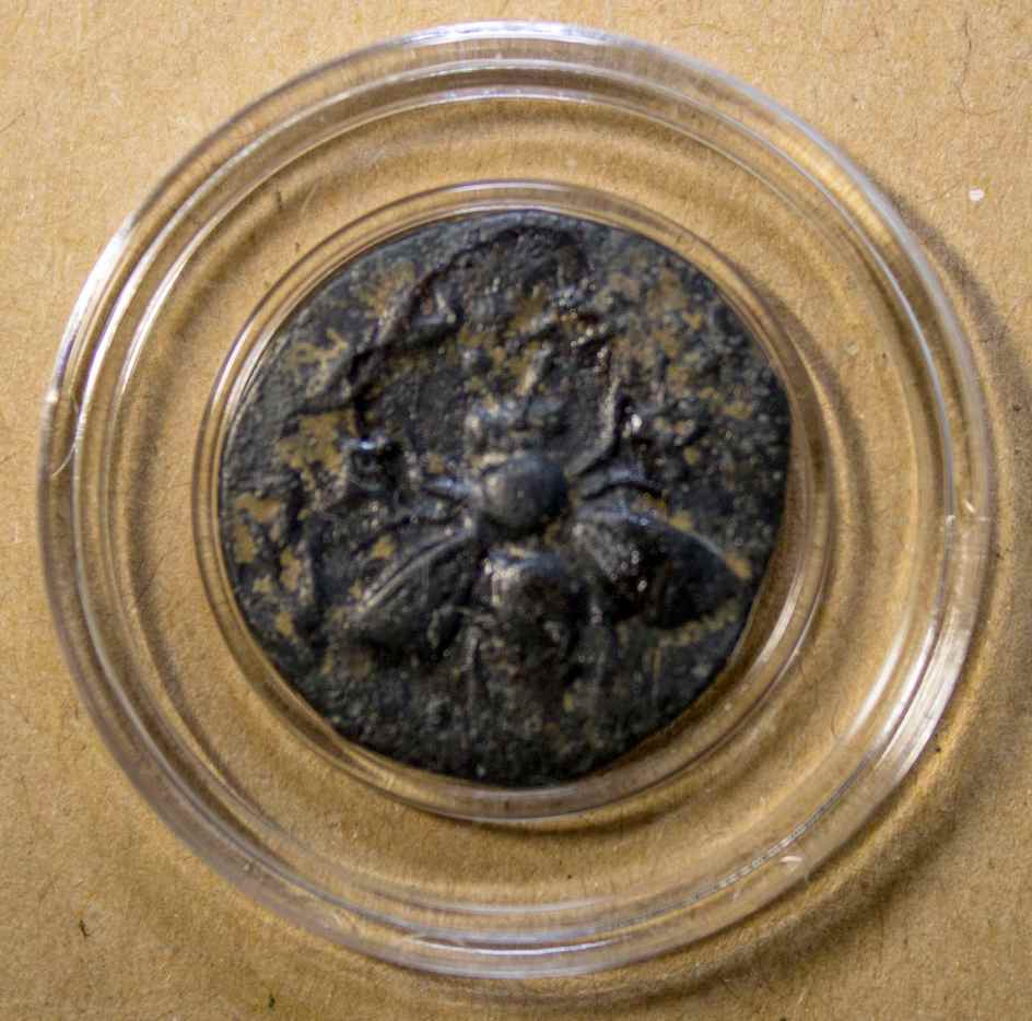 Honey Bee Coin Collection - HubPages