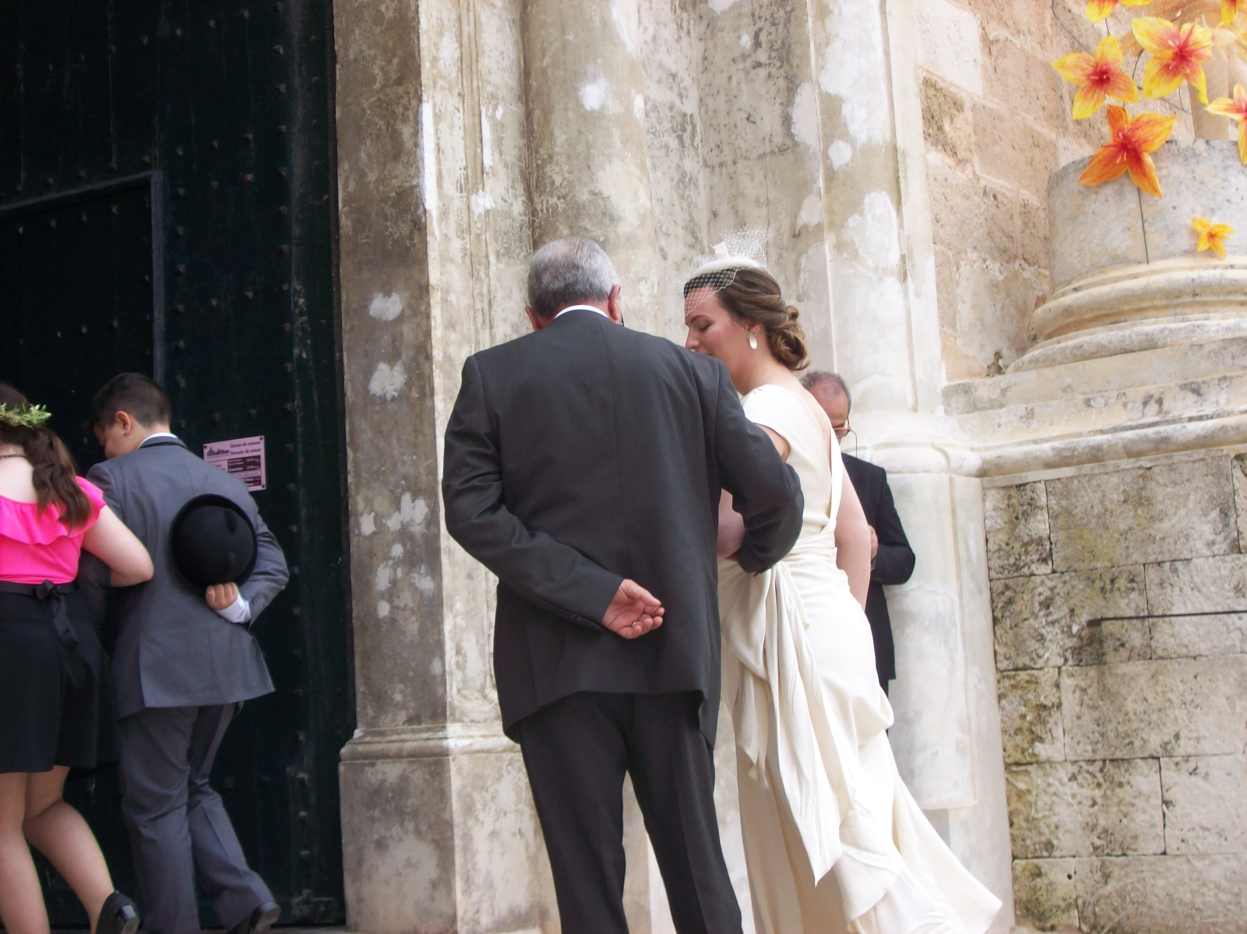 Minorca's Weekend Flower Festival to Save Our Bees - HubPages