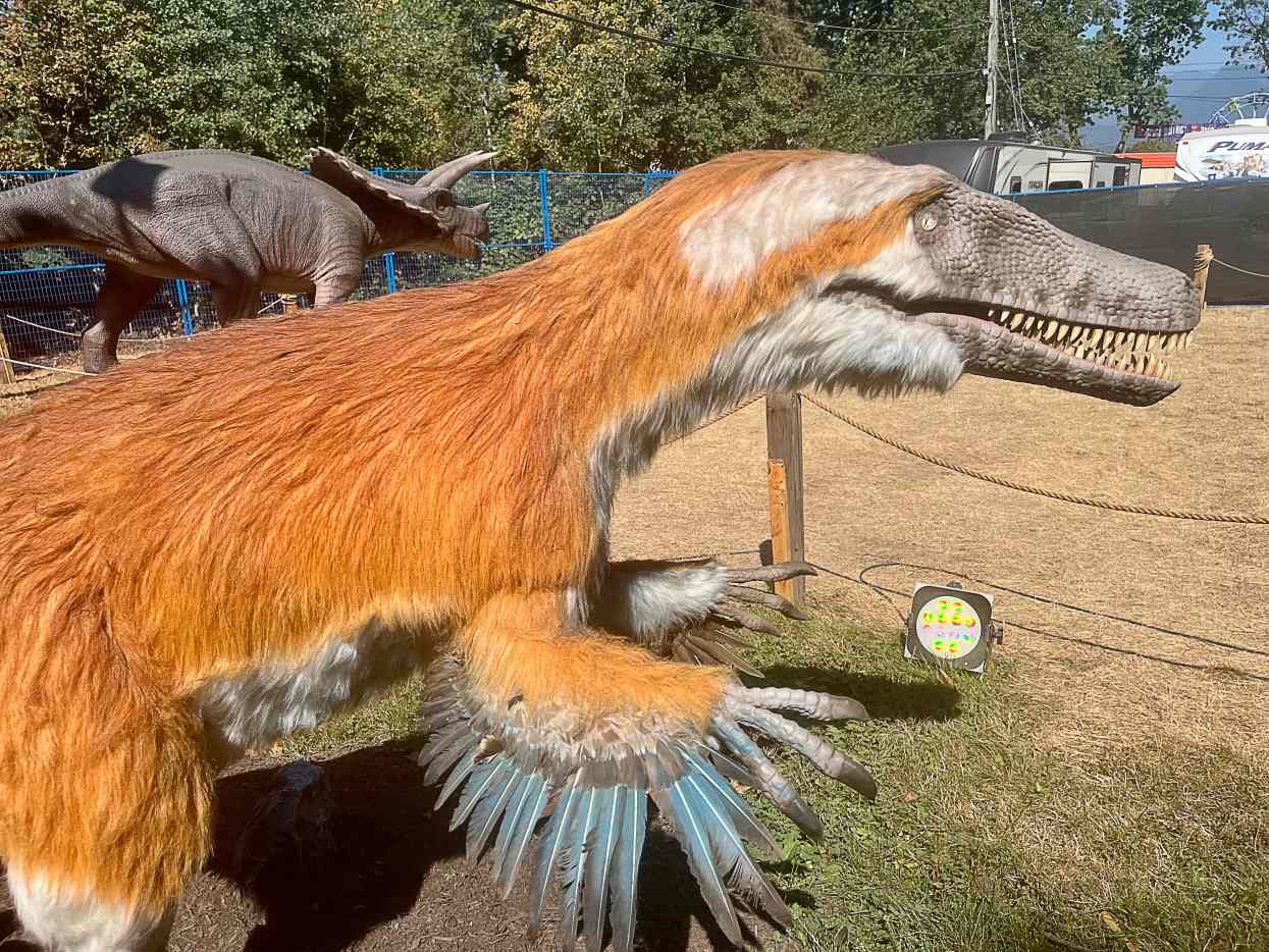 11 Intriguing Dinosaurs: Physical Appearance and Life Facts - Owlcation