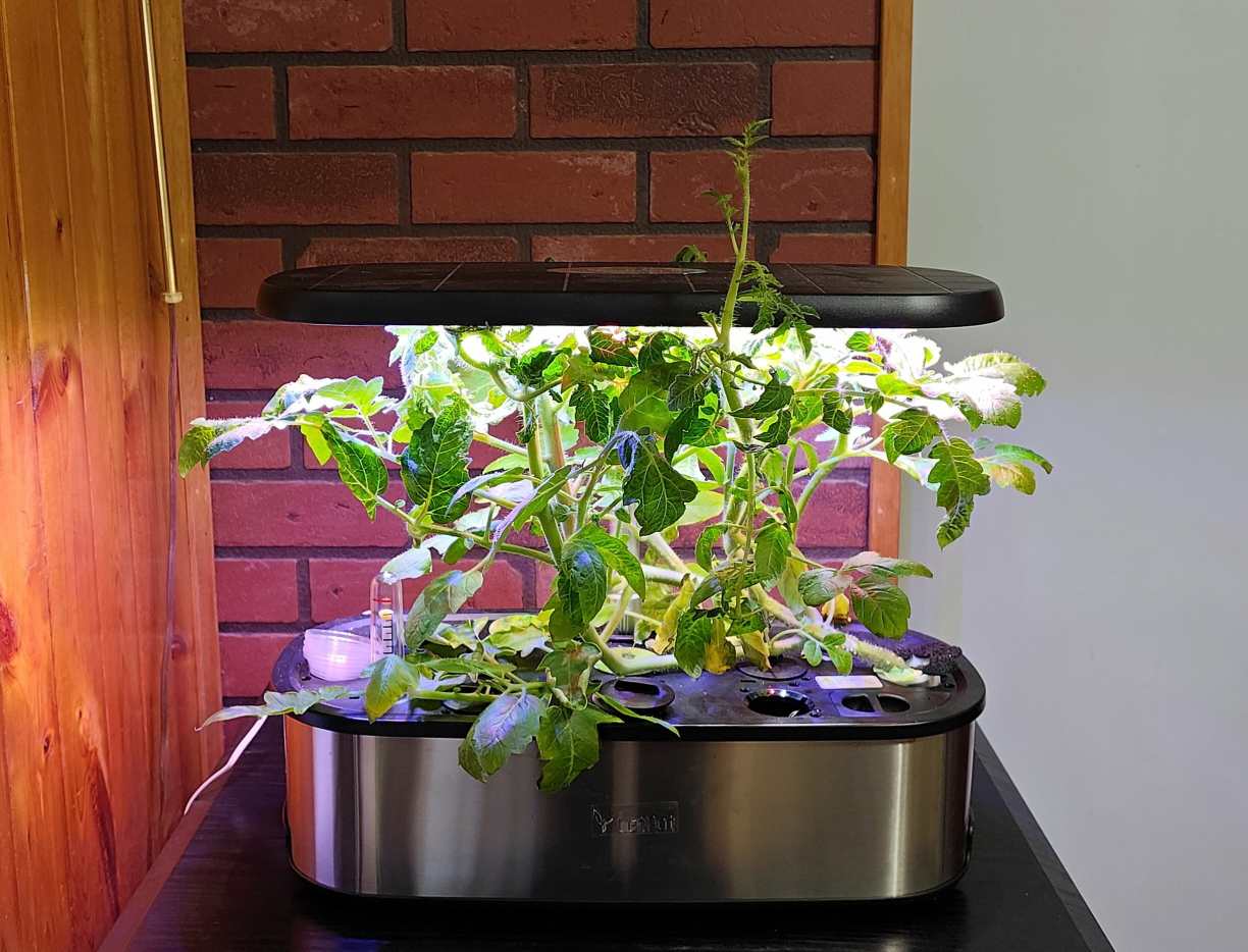 Experimenting With the LetPot Senior Hydroponic Growing System - HubPages