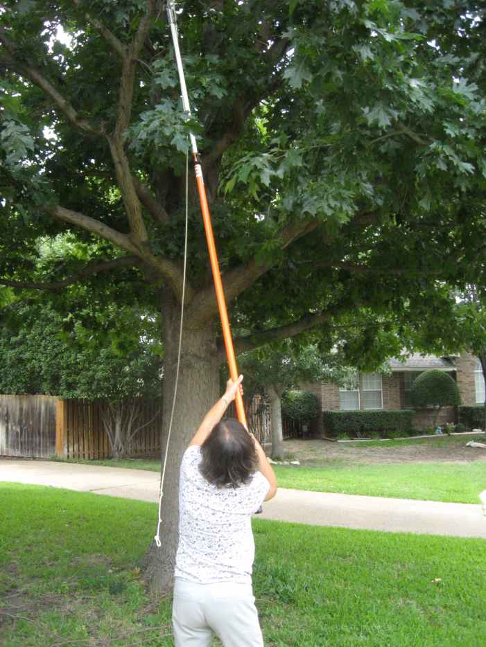 Fiskars Power-Lever Tree Pruner - HubPages