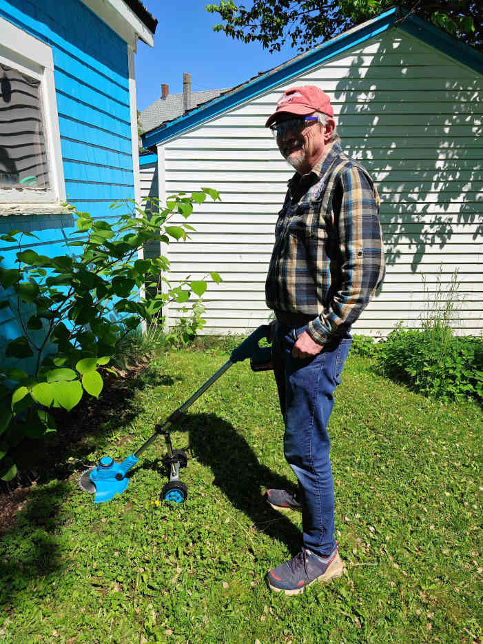 Review of the Lemolifys 21V Battery-Powered Weed Eater - HubPages
