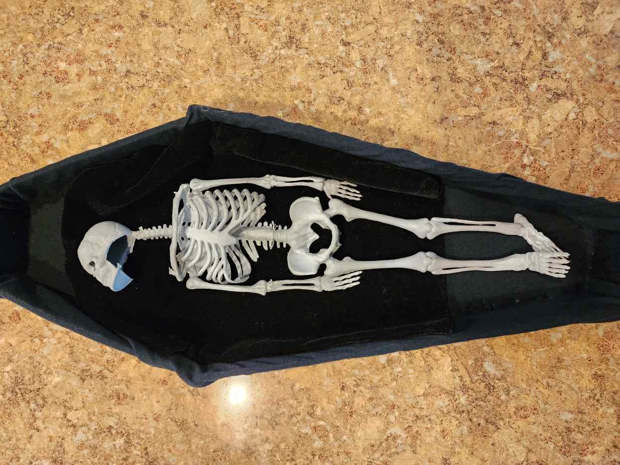 DIY Cardboard Coffin and Skeleton Scene - HubPages