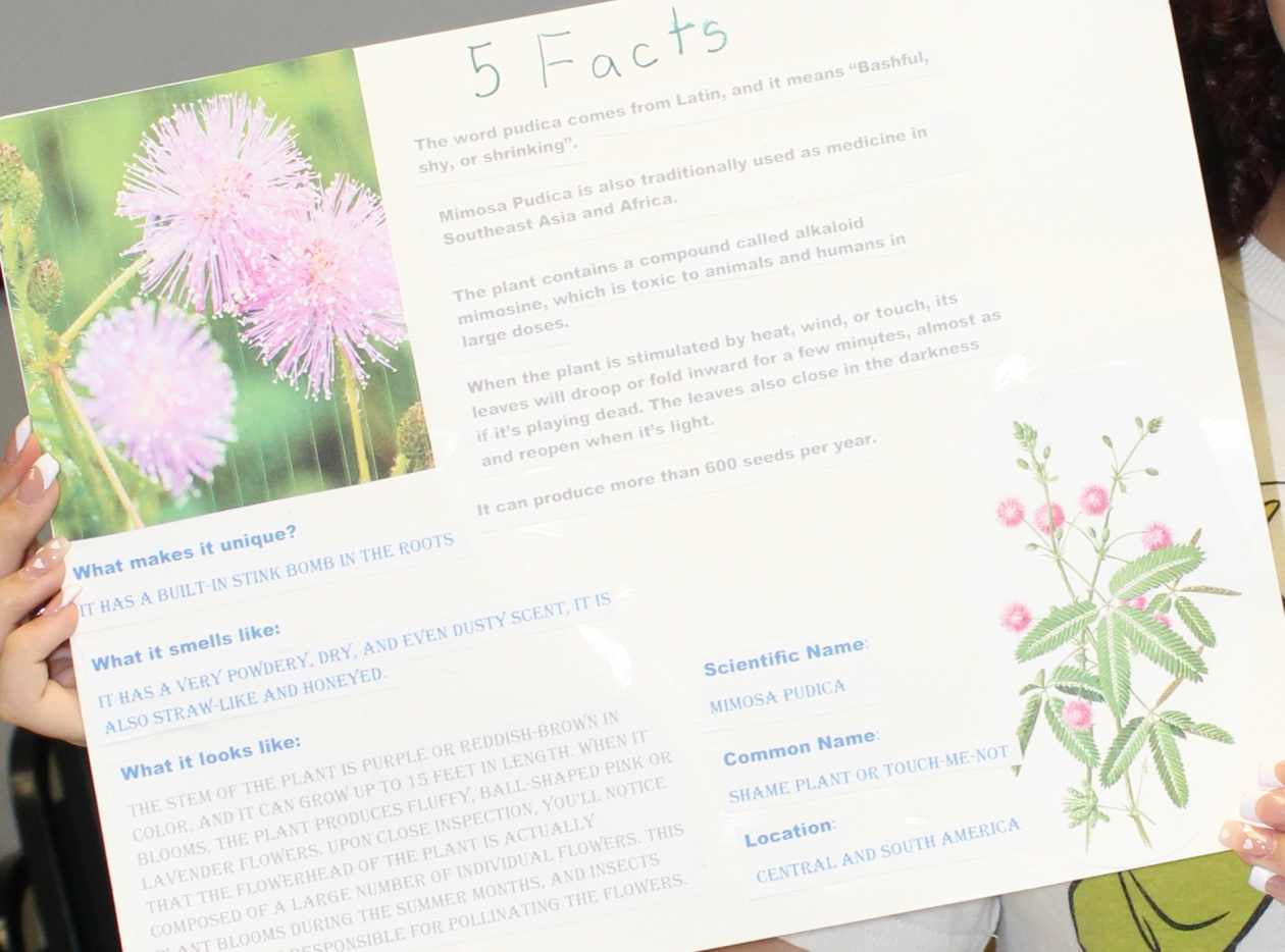 Photosynthesis and Plant Parts STEM Lesson Plan for Middle School ...