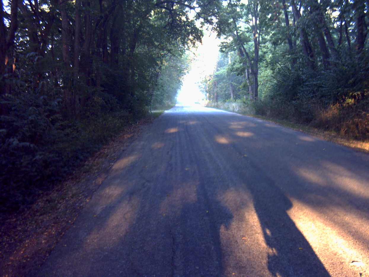 Predestination Vs Free Will - HubPages