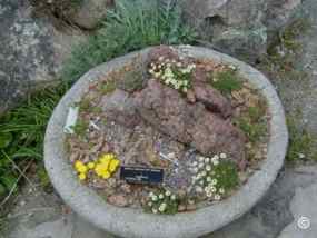 How to Make a Container Rock Garden - Dengarden