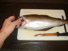 How to Fillet and Cook Pollack (With 6 Amazing Recipes) - HubPages