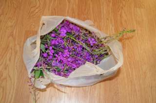 Fireweed Syrup Recipe: How to Make Flower-Infused Syrup - Delishably