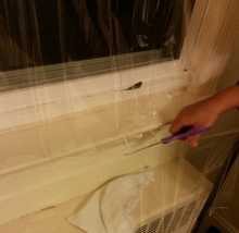 How to Winterize Drafty Windows in the Winter - Dengarden