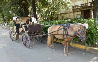 An Overview of the Philippine Kalesa - Owlcation