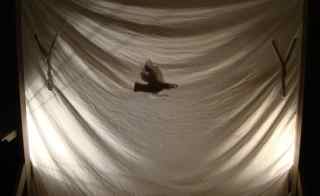 How To Make Shadow Puppets! - HubPages