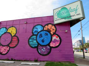 Scott Tarbox Flower Mural Brightens EaDo Houston - HubPages
