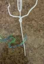 Saguaro Cactus Craft - HubPages