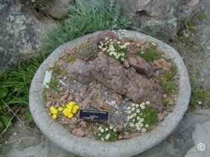How to Make a Container Rock Garden - Dengarden