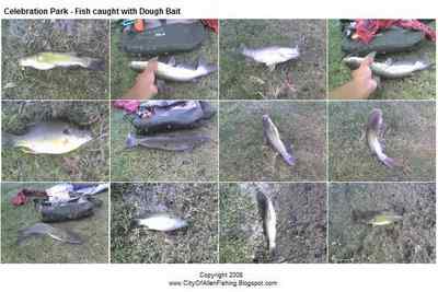 Simple Dough Bait Recipe for Catfish - HubPages