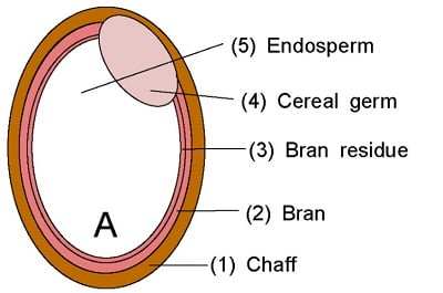 Brown Rice, Red Rice, Black Rice: The Antioxidant Powerhouse - HubPages