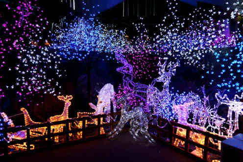 Winter Holidays at Wild Lights With the Columbus Zoo - HubPages