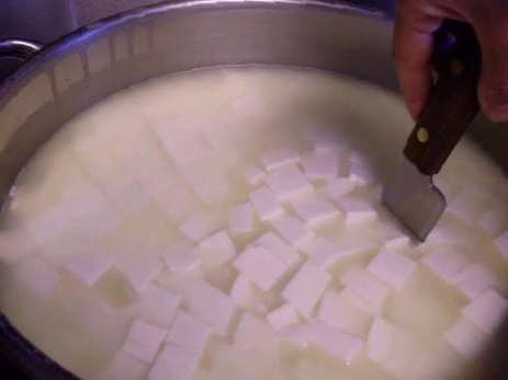 How to Make Feta Cheese With Yogurt - HubPages