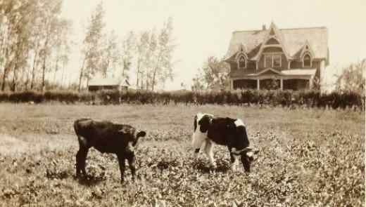 Old Pictures of Farming in North Dakota in the early 1900s - HubPages