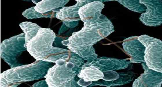 The Walkerton Incident - HubPages