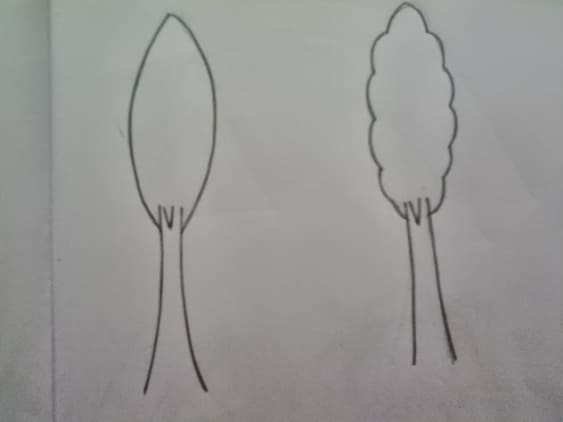 20 How to draw trees instructions for kids - Step by step - HubPages