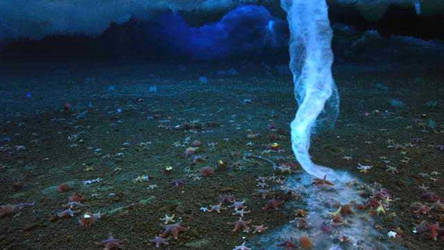 10 Incredible Natural Phenomena That Really Exist - Owlcation