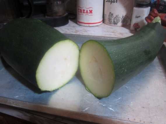 How to Cook Extra Large Zucchini: Stuffed Zucchini Boats Recipe - HubPages