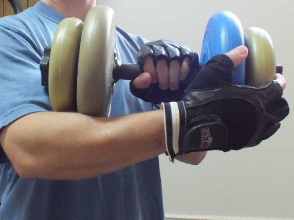 Workout Routine to Bulk Up Your Forearms - HubPages