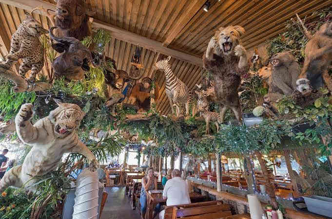The 10 Most Weird Restaurants Around the World - HubPages
