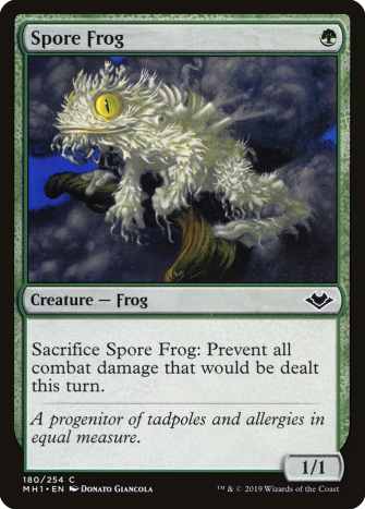 Top 10 Fog Spells in Magic: The Gathering - HubPages