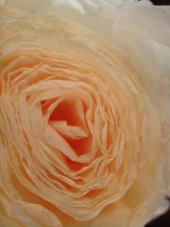 How to Make Flowers From Coffee Filters: 8 Patterns and Tips - HubPages