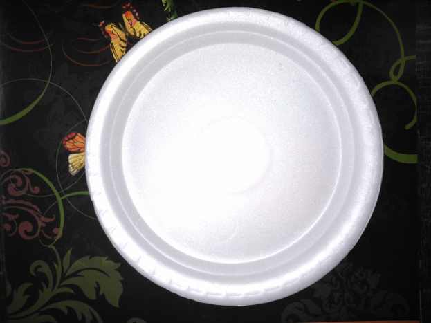 Making the Most out of Waste: A DIY Paper Plate Craft - HubPages
