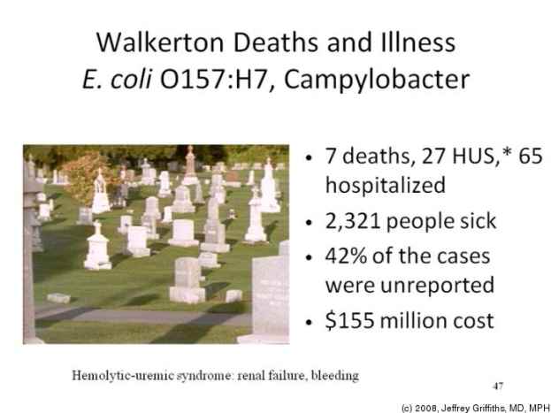 The Walkerton Incident - HubPages