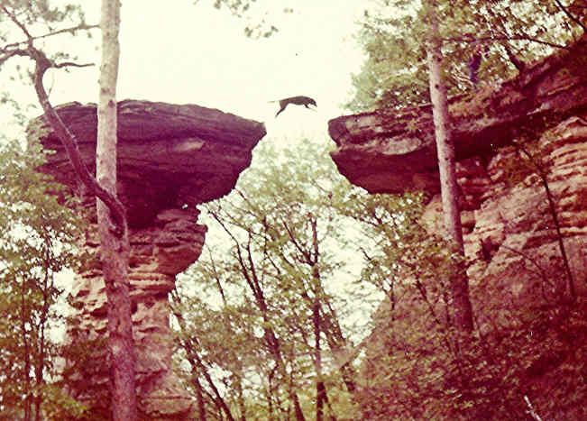 Photo Tour of the Scenic Wisconsin Dells - HubPages