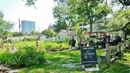 Plant It Forward Farm: Helping Refugees Earn a Living - HubPages