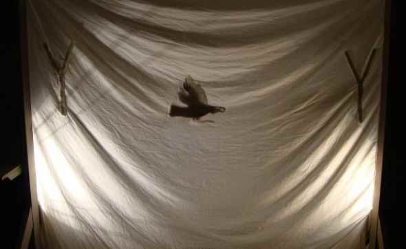 How To Make Shadow Puppets! - HubPages