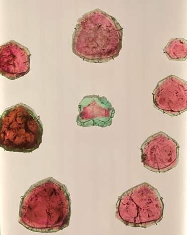 The Maine Mineral and Gem Museum: Photos & Visitor Info - HubPages