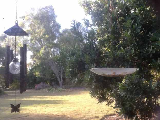 Diary of a Cackleberry Farmer #2 - HubPages