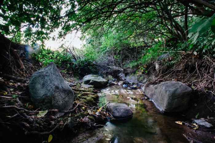 Jonathan Luna: Maryland Prosecutor Found Dead in Another State - HubPages