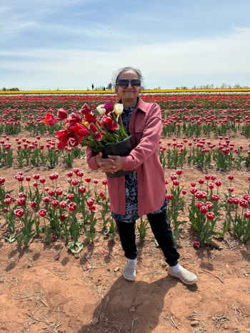 Exploring the Belfast Tulip Fields on Prince Edward Island - HubPages