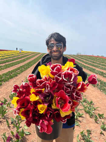 Exploring the Belfast Tulip Fields on Prince Edward Island - HubPages