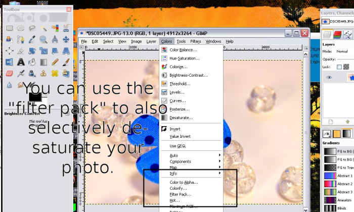 Selective Coloring Using a DSLR Camera or GIMP - HubPages
