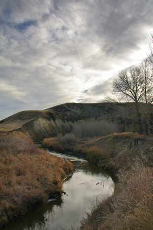 The Town of Rosebud: Cultural Gem on the Canadian Prairies - HubPages